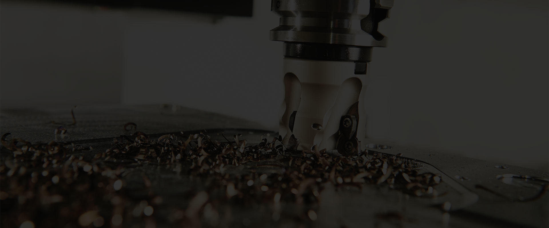 Newfangled Solutions LazyCam Pro (Beta)